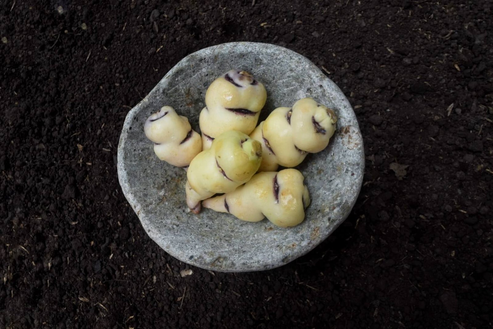 Cubios (500g) - Mercado Cántaro