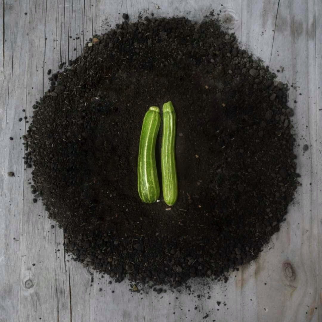 Zucchini verde (500g) - Mercado Cántaro